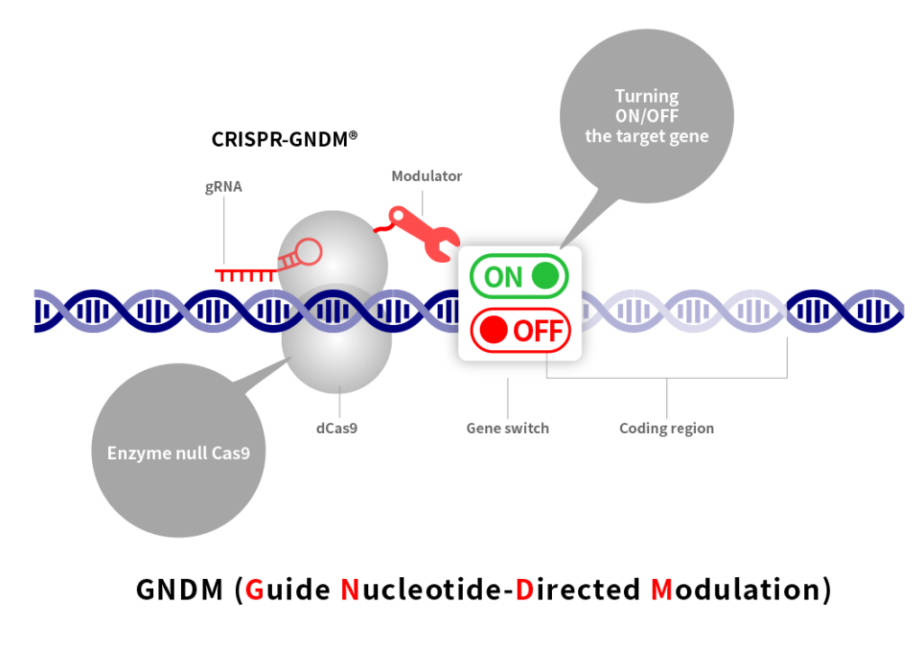 Modalis Therapeutics - Official Site